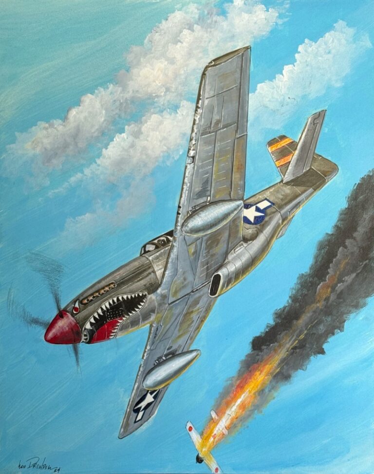 Military Plane Illustrations | Aviation Art by Lou Drendel | Gallery One