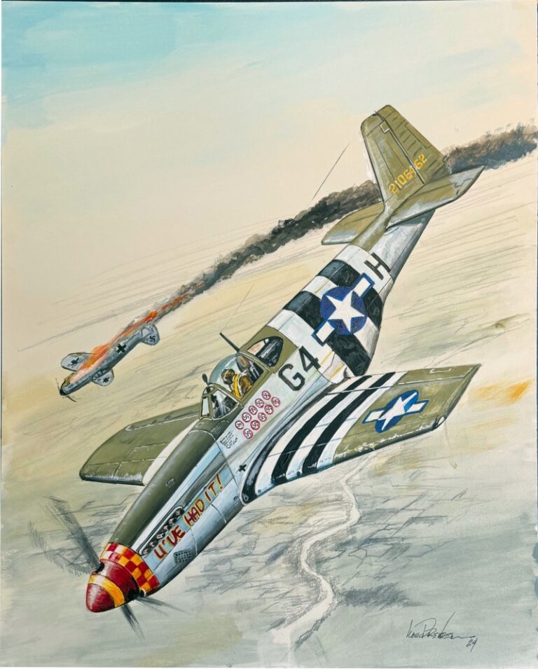Military Plane Illustrations | Aviation Art by Lou Drendel | Gallery One